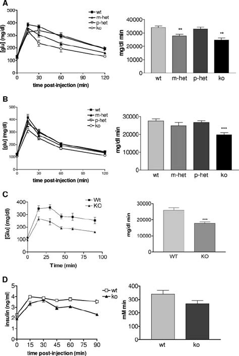 Improved Glucose Clearance In Grb10 ⌬ 2 4 Mutant Mice Results Of
