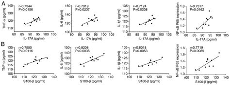 Effect Of Dexmedetomidine Combined With Etomidate On Il‑17a And S‑100β