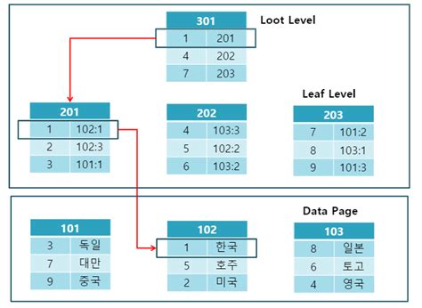 clustered vs nonclustered index 개념 오늘코딩