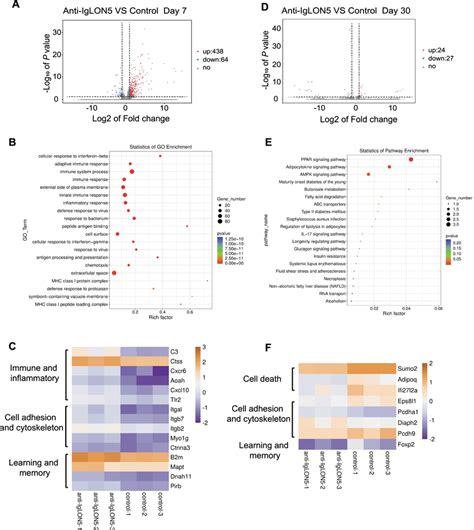 Whole Genome Transcriptomic Analyses A Volcano Plot Of Differentially