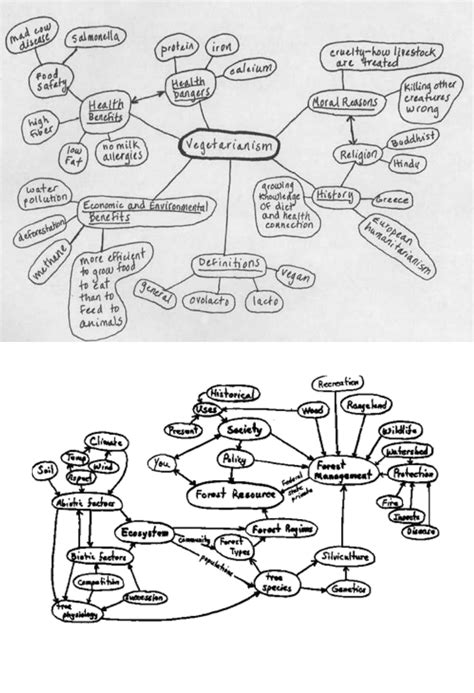 what is a concept map with examples edrawmax online vrogue