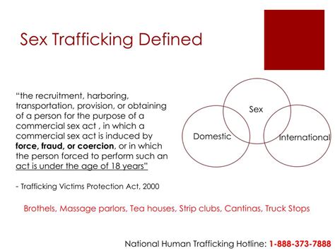 Ppt Sex Trafficking 101 Powerpoint Presentation Free Download Id