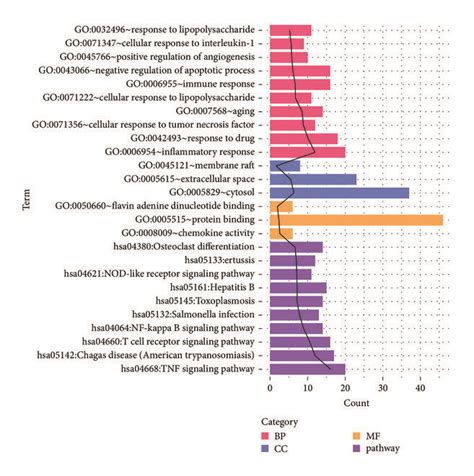 The Main Bp Cc And Mf Terms As Well As Kegg Pathways Enriched For