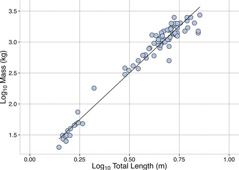 sizing ocean giants patterns of intraspecific size variation in marine