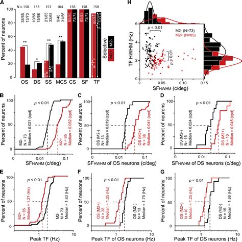modularity in the organization of mouse primary visual cortex neuron
