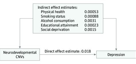 Association Between Neurodevelopmental Copy Number Variants Cnvs And