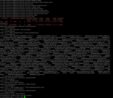 docker haugene docker transmission openvpn in raspberry pi create by