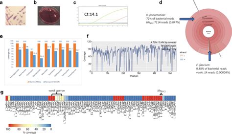 Metagenomic Next Generation Sequencing Of A Rectal Swab Positive For