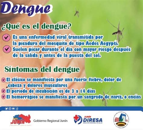🔴🔵 Dengue 😷👩🏻‍🔬🧑🏻‍🔬🏥👨🏽‍🔬 ️¿ Qué Es El Dengue Hospital Regional De