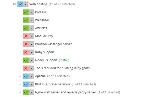 plesk node js setup