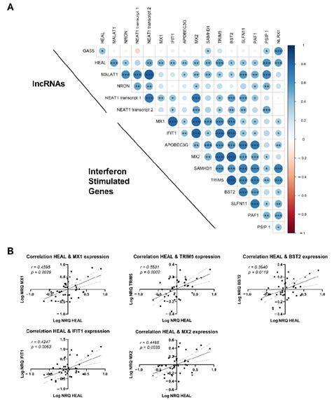 Correlation Of Lncrna Expression And The Expression Of Interferon
