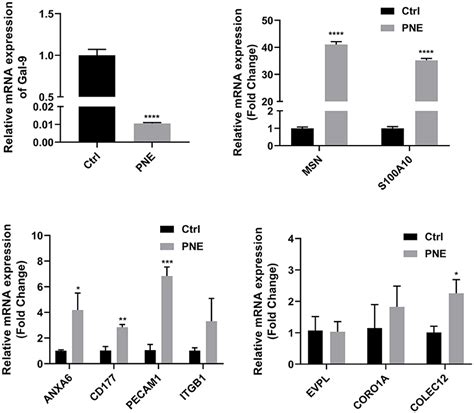 Frontiers Itraq Based Quantitative Proteomics Analysis Of Forest Musk