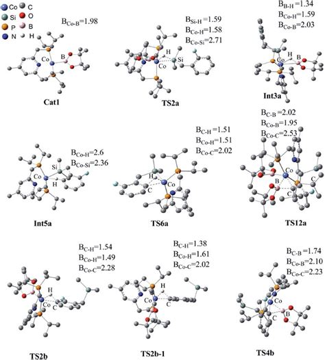 Optimized Structures Of The Key Transition States And Intermediates In