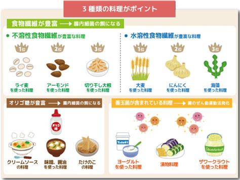 腸内環境を整える料理 腸内環境のすべて
