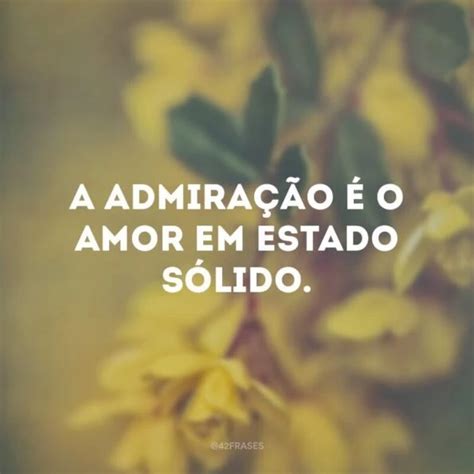 44 Frases De Admiração Para Te Incentivar A Demonstrar Sua Consideração
