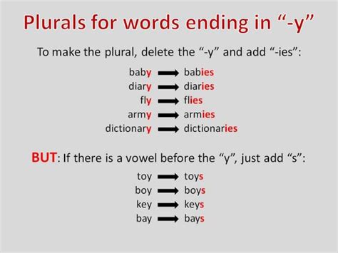 Penggunaan Plural Noun Berakhiran Y Dalam Bahasa Inggris Beserta Contoh
