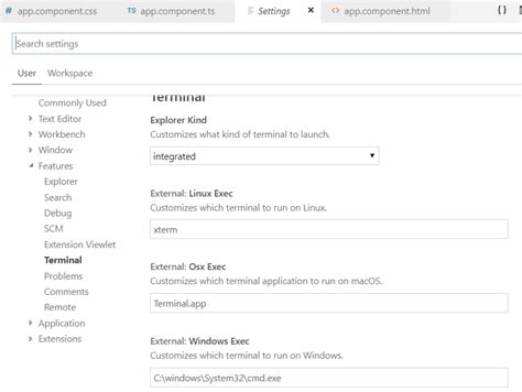 not able to type in terminal in vs code stack overflow