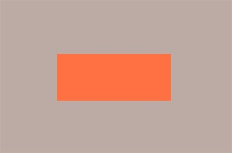 layout react js examples