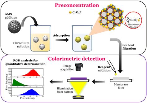 Schematic Representation Of The Proposed Method For Chromium Vi Ions