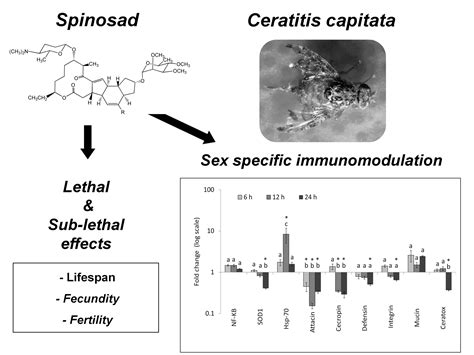 insects free full text sex specific sub lethal effects and immune