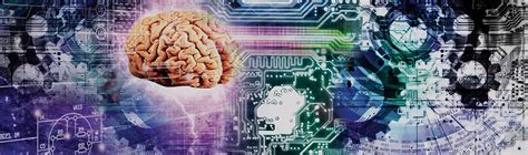 Neurohacking Neuroq