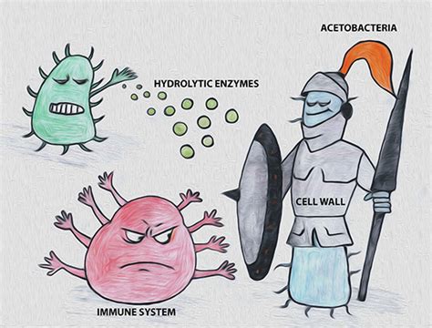 how the bacterial protective shell is adapted to challenging environments