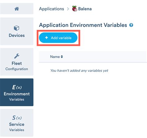environment and service variables balena documentation