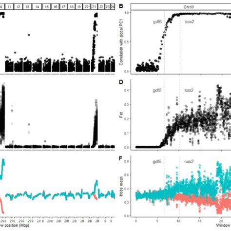 Two Genomic Regions Implied In Sex Differentiation A Correlation