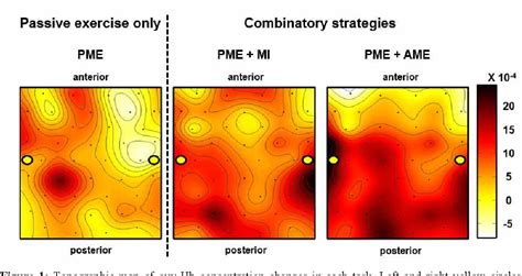 Figure 1 From Single Trial Classification And Evaluation Of Hemodynamic