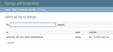 how to use created django api key to access api in browser