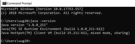 java checker easily verify your java version in 2024