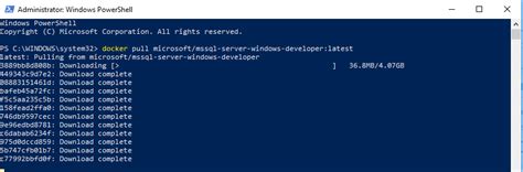 running sql server developer in a windows based docker container