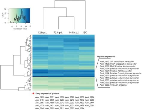 The Life Cycle Dependent Transcriptional Profile Of The Obligate