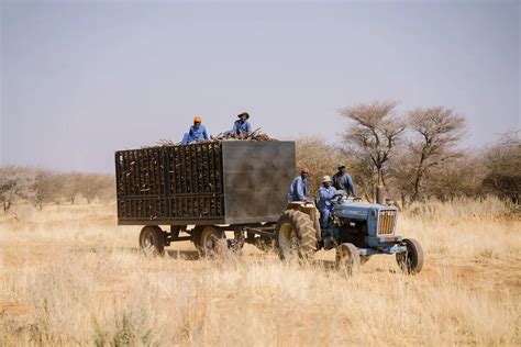 Image result for Low Code No Code Framework