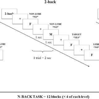 Image result for N Back Task Training