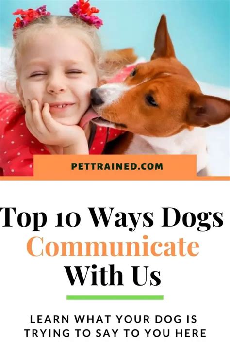 Image result for How Dogs Communicate with People