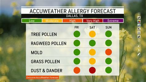 Image result for My NetZero