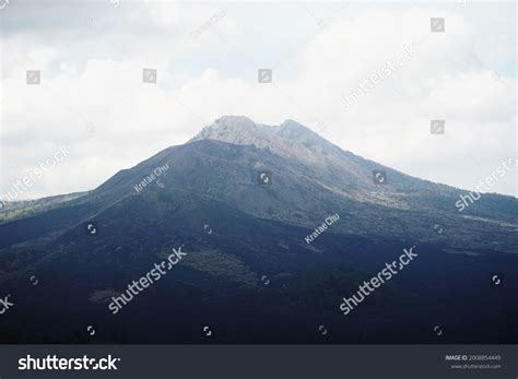 Image result for Java Bali