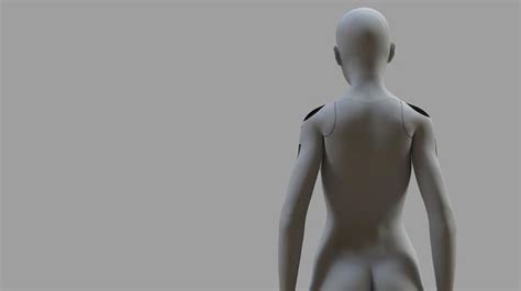 Image result for Front Back Side View Human