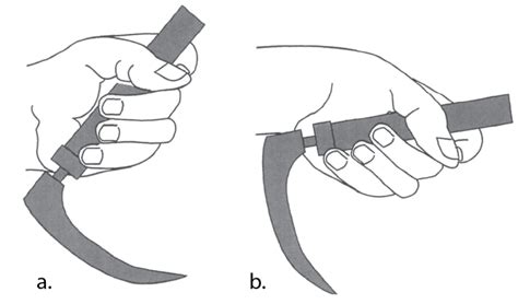Image result for Intubation Steps