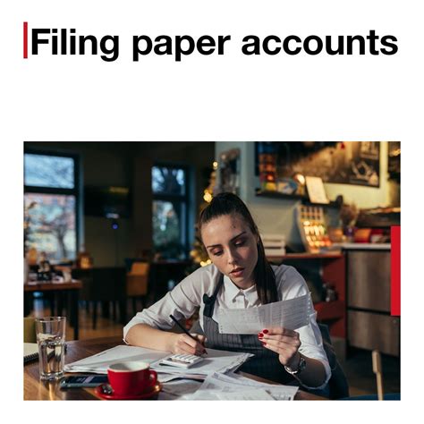 Image result for Companies House File Micro