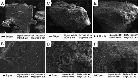 Image result for Humic Acid Sem