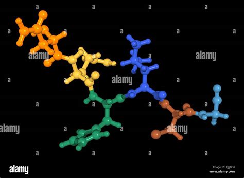 Image result for Primary Protein Structure Example