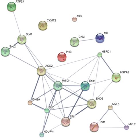 Image result for Protein Interactions Simulating Software