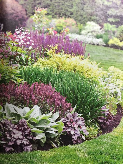 Image result for Shade Loving Perennials