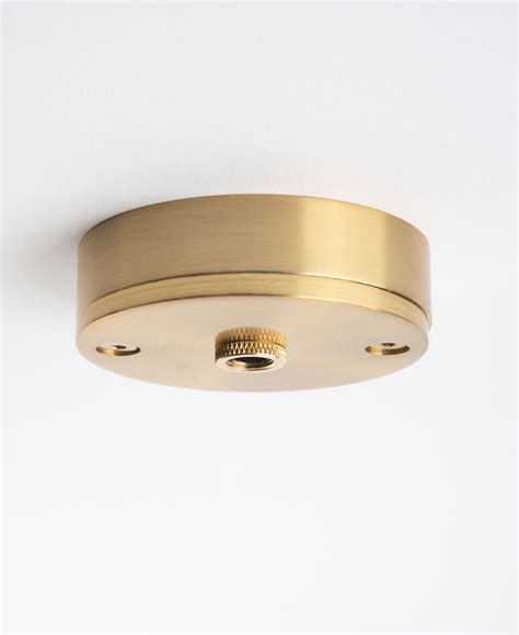 Image result for Ceiling Light Rose