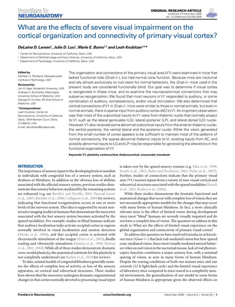 Image result for Visual Cortex Dysfunction