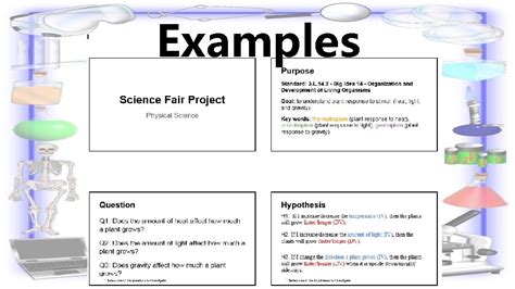 Image result for Variables Science Project Examples