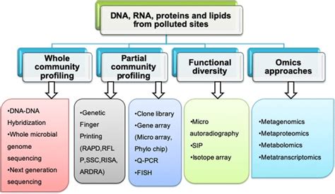 Image result for Microbial Profiling of the Samples