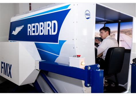 Image result for fly vision simulation